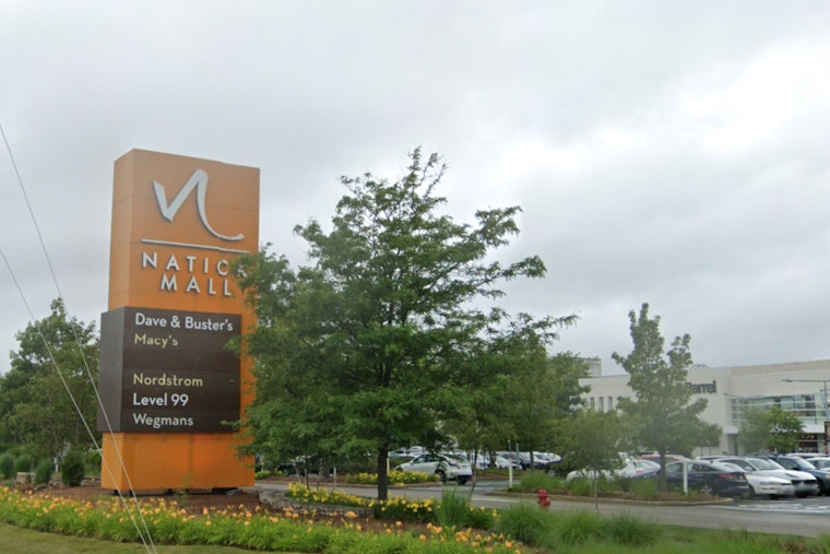 Pop Mart to Open First Massachusetts Store for Popular Labubu Dolls at