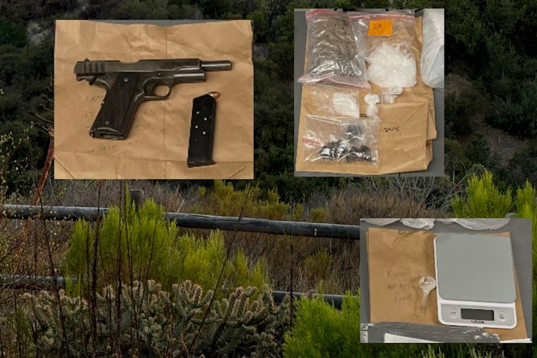 San Diego Police Nab Wanted Individual, Seize Drugs and Weapons in