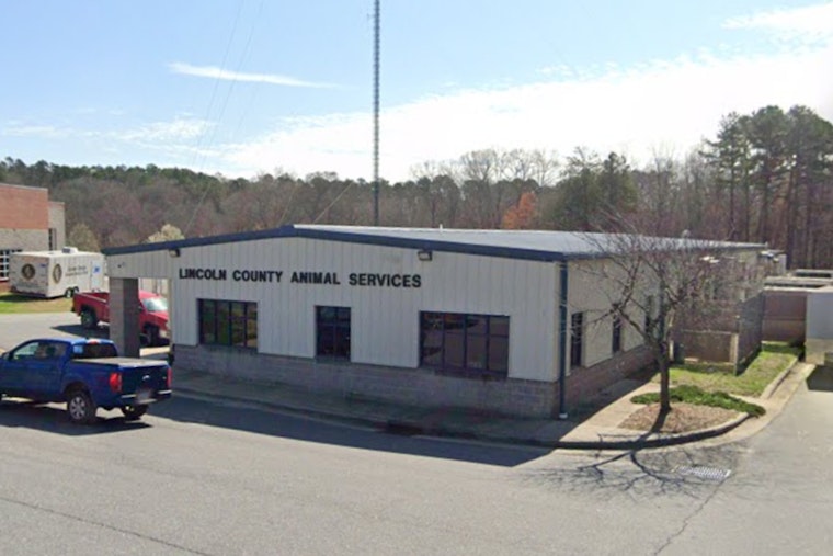 Seventh Rabies Case of 2025 Confirmed in Lincoln County Following