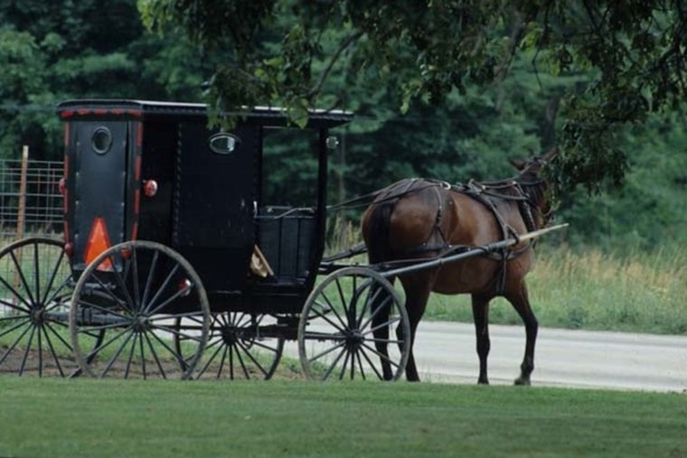 Six Hospitalized After DUI Suspect Hits Amish Buggy in West Michigan