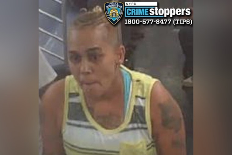 Suspect Sought in Bronx Train Slashing Incident as NYPD Seeks Public's