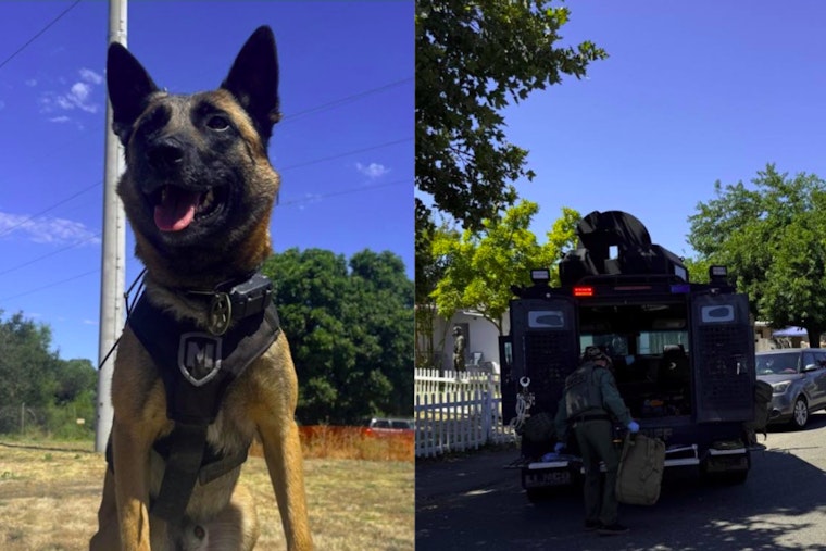 SWAT Team and K9 Unit Apprehend Suspect After Standoff in East