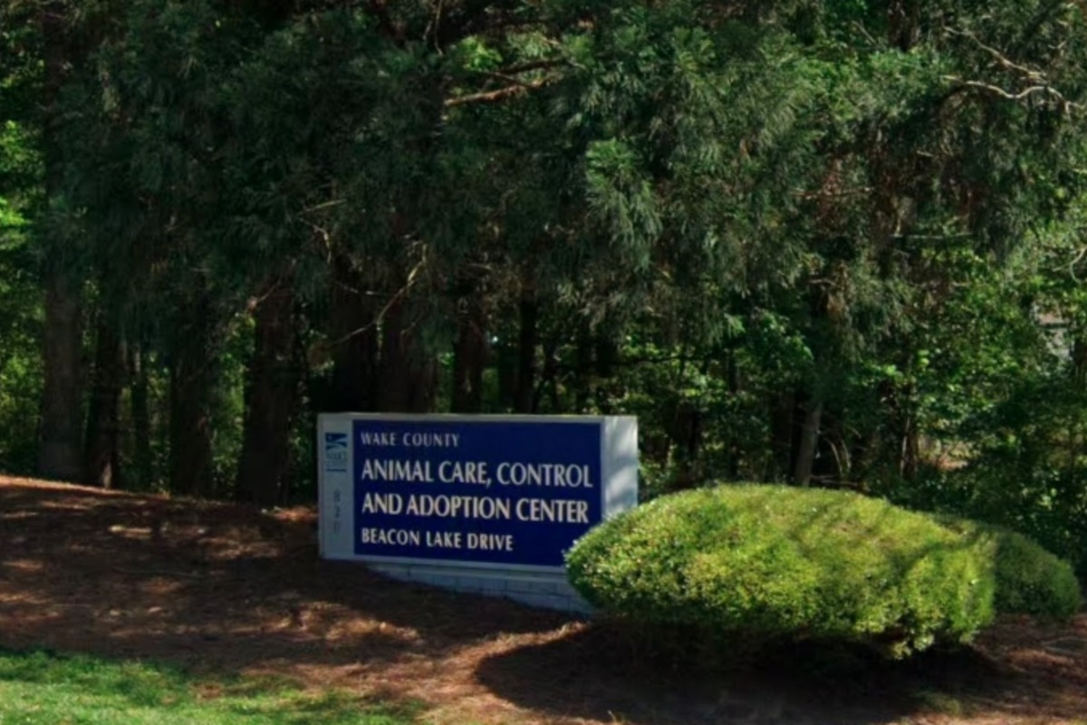 Wake County Animal Center in Raleigh Launches Fee-Waiving "Clear the
