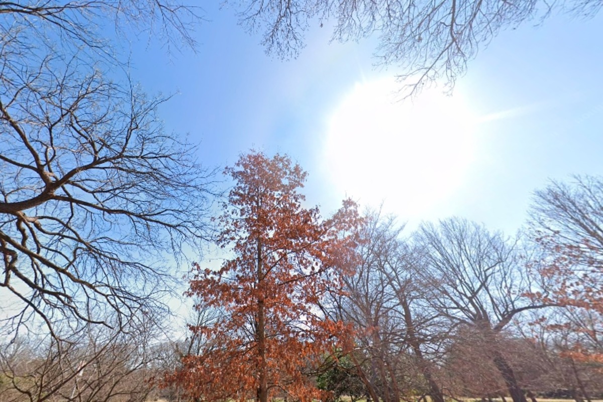 Warm and Sunny Outlook for Memphis as NWS Predicts Pleasant Weather