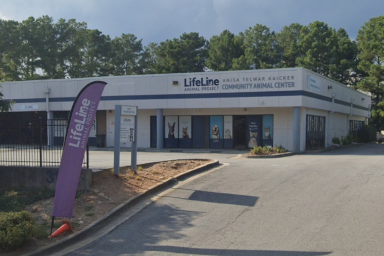 Atlanta Free Adoption Event, LifeLine Animal Project Teams Up with