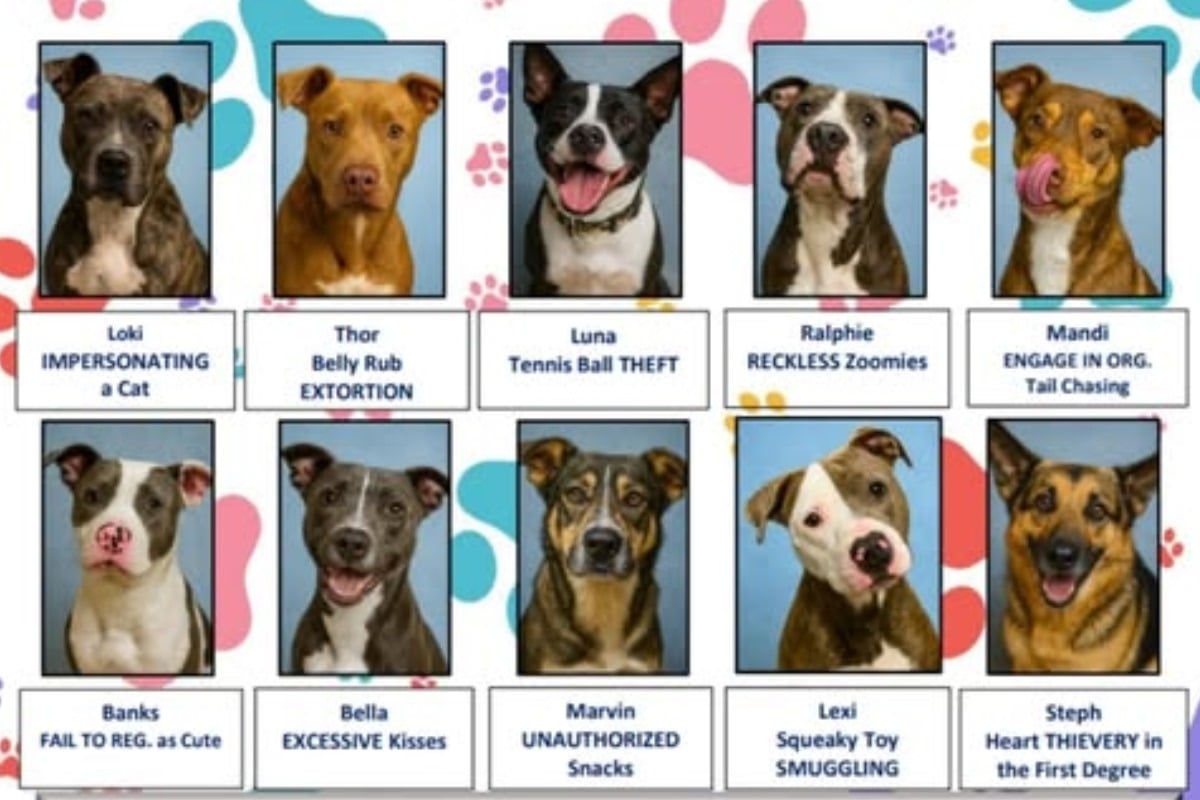 Burleson Police Department's "Most Wanted" List Playfully Promotes