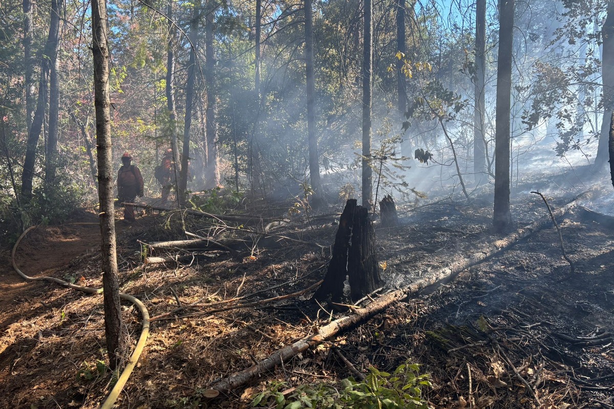 CAL FIRE AEU and Partners Quell Vegetation Fire in El Dorado County,