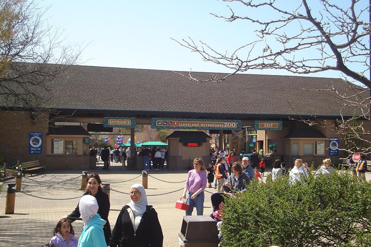 Cleveland Metroparks Zoo Welcomes Endangered Eastern Black Rhino Calf