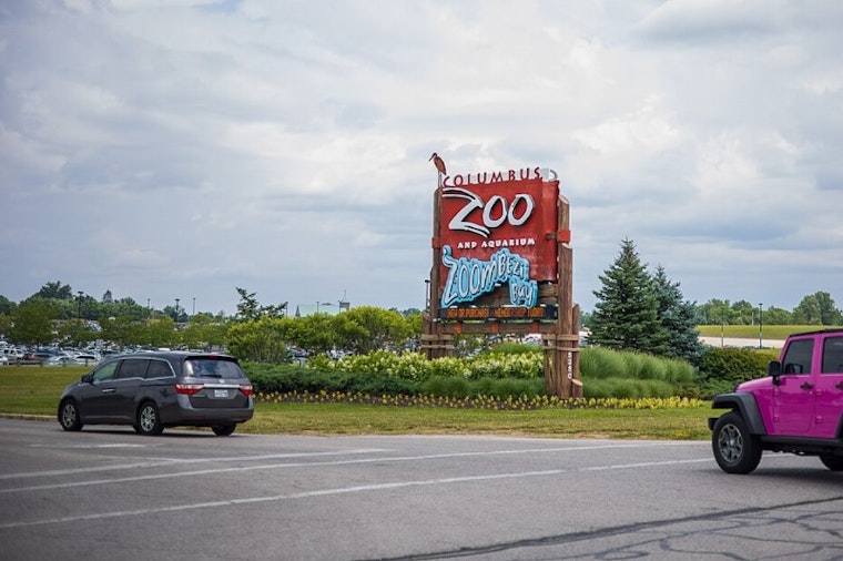 Columbus Zoo Honors Legacy with Newborn Elephant Named After Local