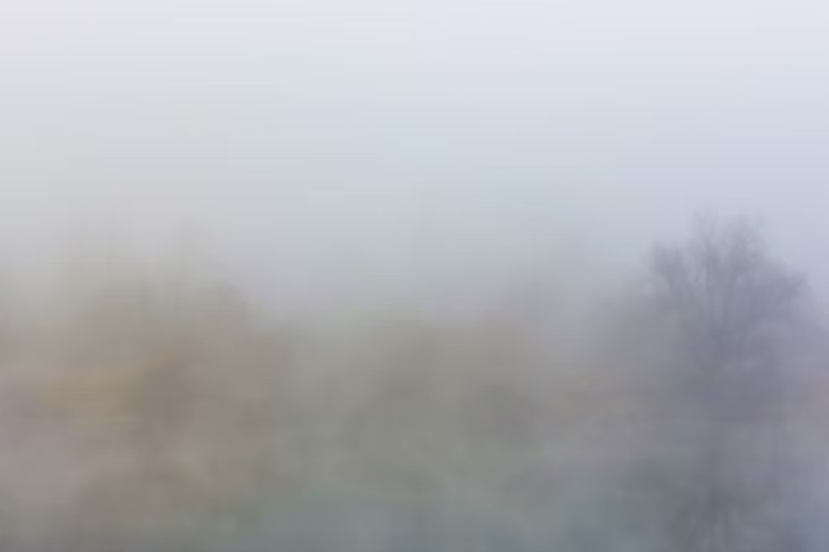 Dense Fog Blankets Knoxville Before Clear Skies Emerge