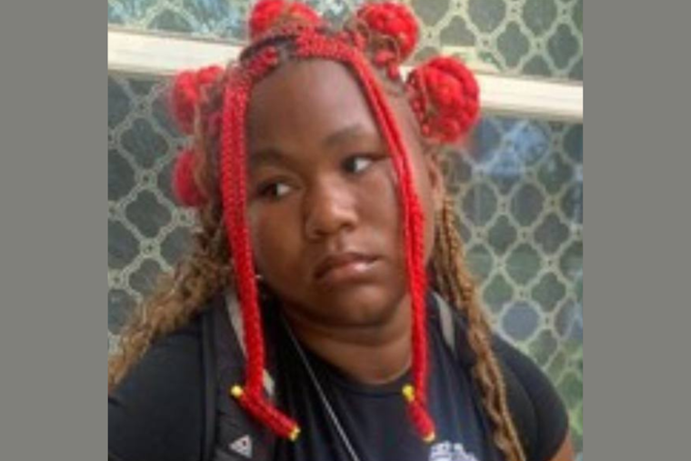 Detroit Police Seek Public's Help in Search for Missing 13-Year-Old