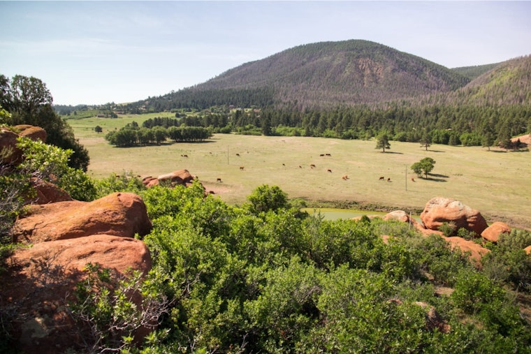 Douglas County Celebrates 30 Years of Open Spaces with September Event