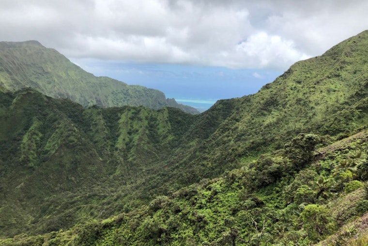 Honolulu Residents Invited to Shape Future of Moanalua Forest Reserve