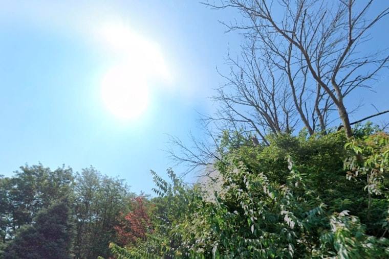 Indianapolis Welcomes Mild Weather Transition A Perfect Time for