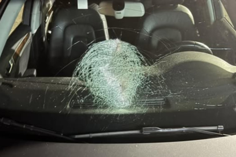 Jasper Police Apprehend Two Juveniles Suspected of Vandalizing