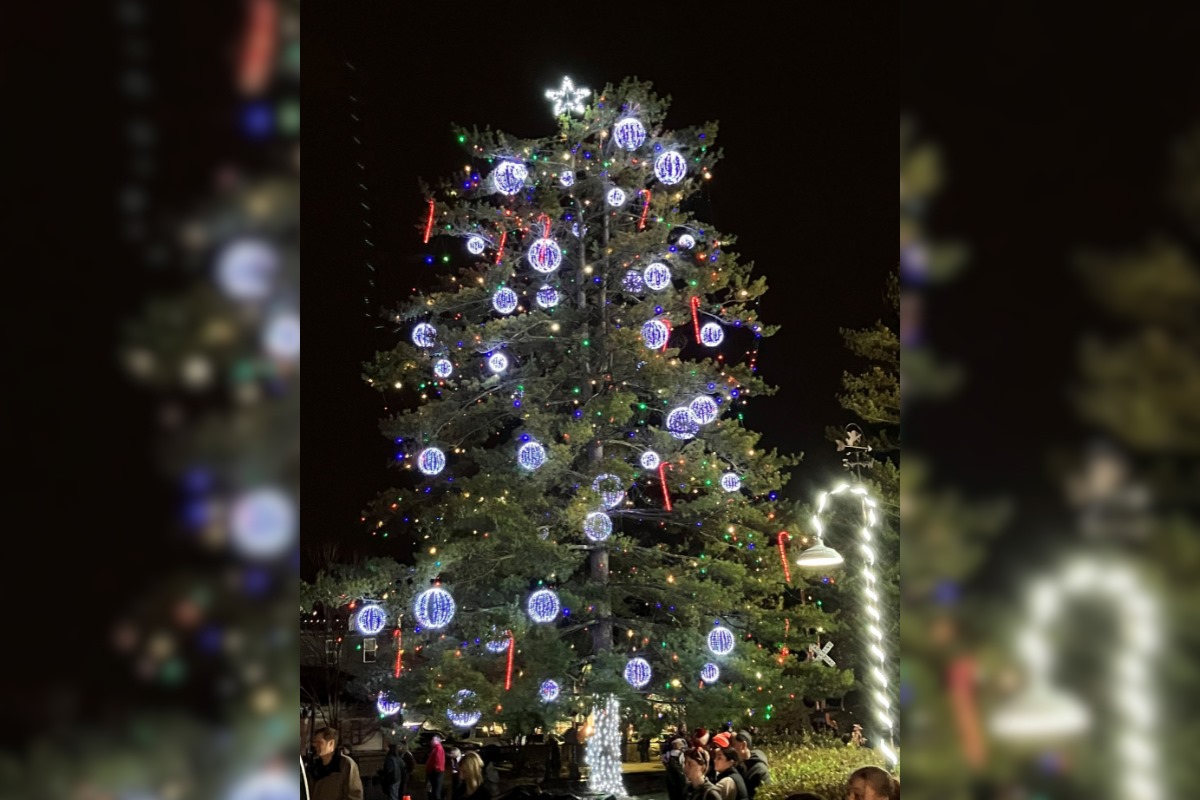 Loveland Gears Up for 5th Annual Christmas Tree Lighting Festival