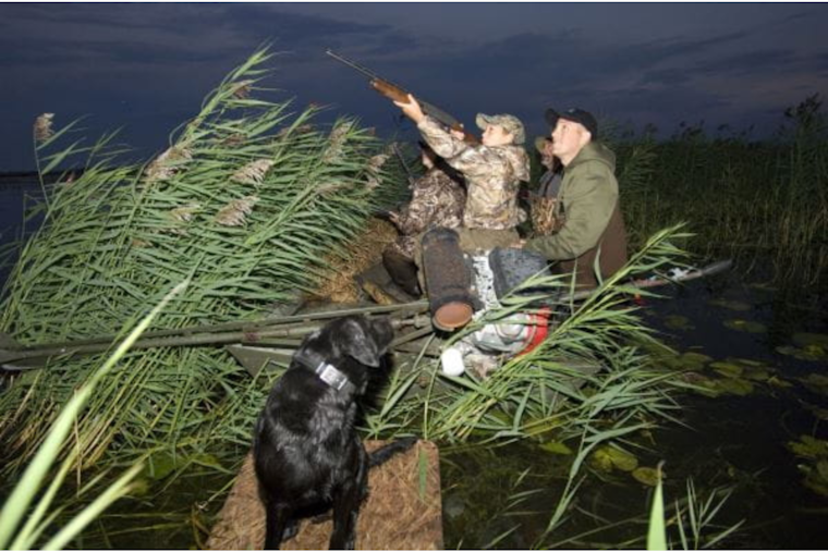 Michigan Hunters Enlisted in Battle Against Invasive Aquatic Plants