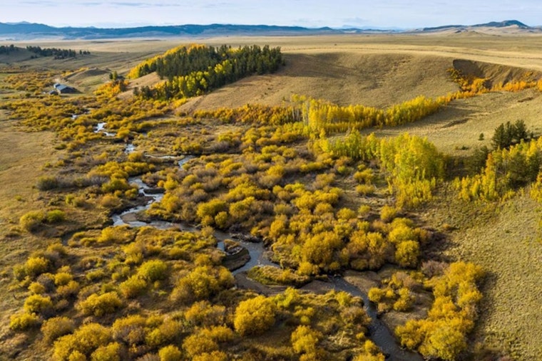 New Hunting and Fishing Haven Opens in Park County, Colorado: Collard