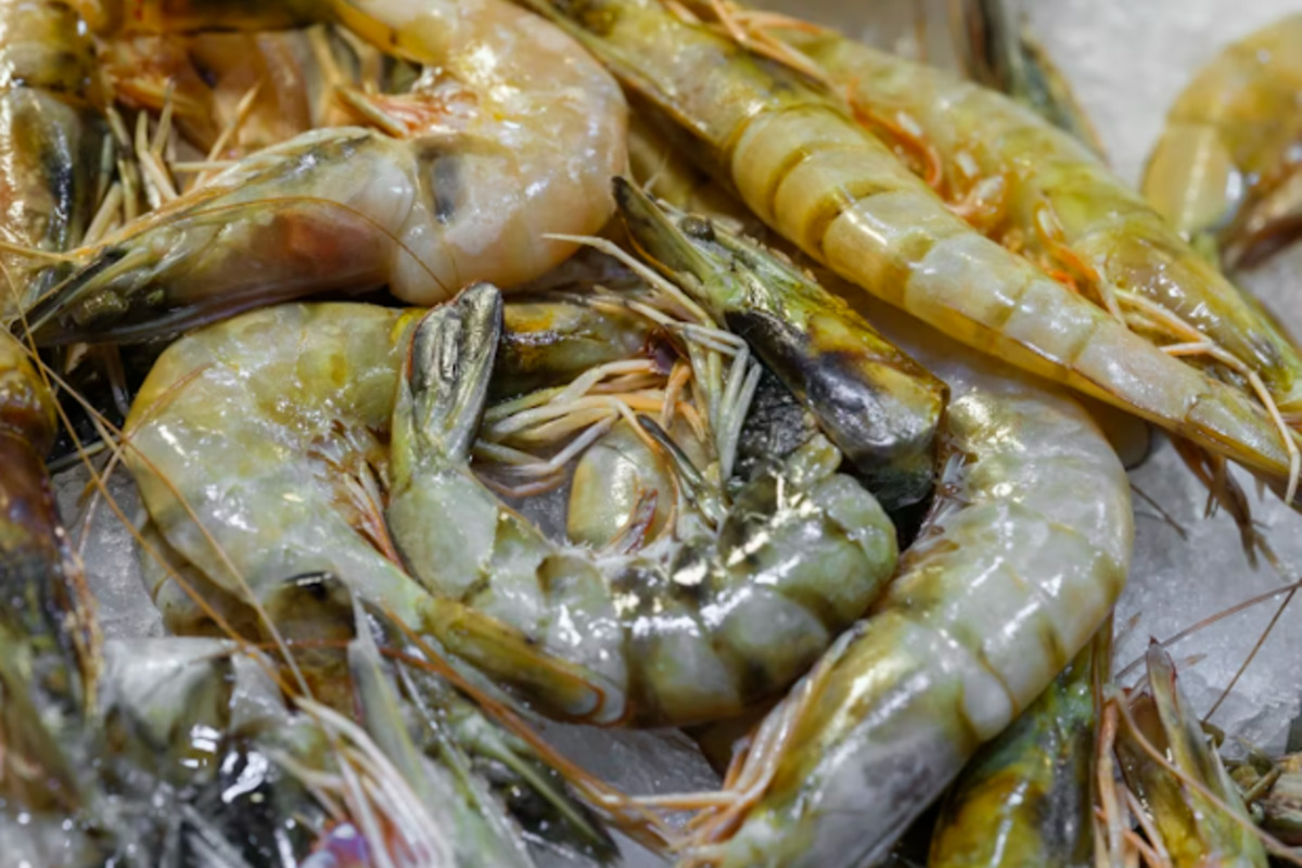 Radioactive Shrimp Shockwave, Over 85k Packs Pulled from Stores Amid