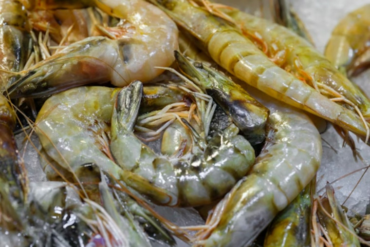 Radioactive Shrimp Shockwave, Over 85k Packs Pulled from Stores Amid