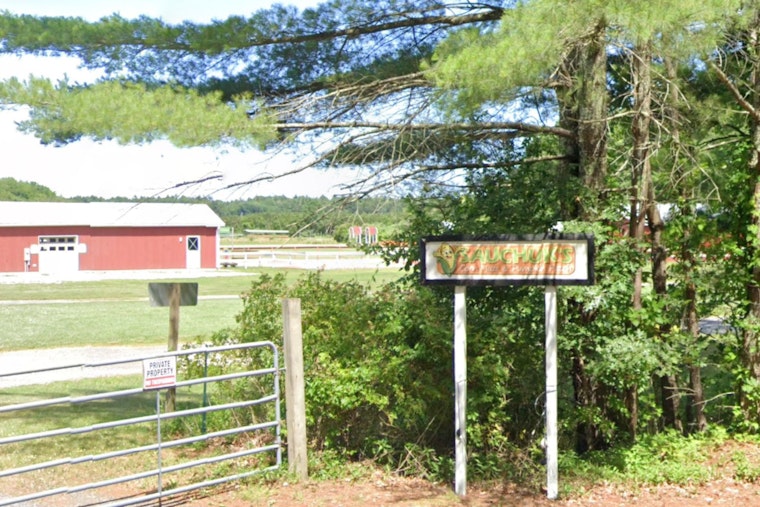 Sauchuk Farm's Corn Maze Tribute to Massachusetts' 250th Anniversary