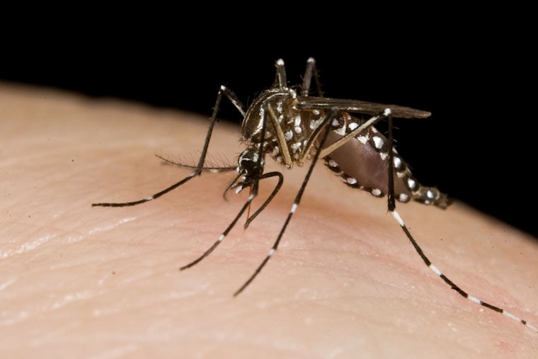 Shelby County Health Department Initiates Mosquito Spraying Schedule