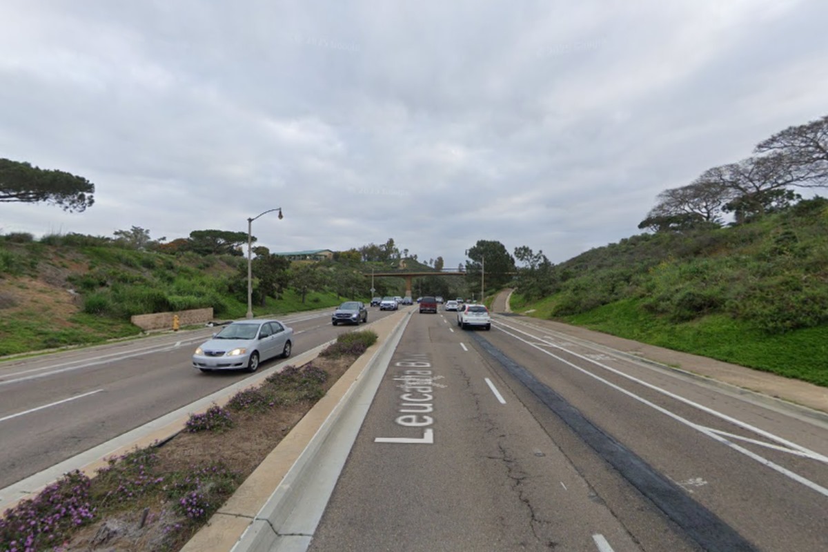 Suspect Arrested for Allegedly Starting Brush Fire in Encinitas, San