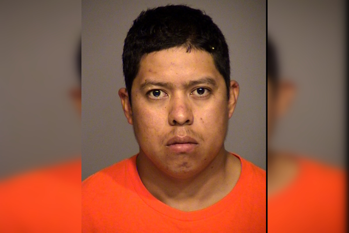 Thousand Oaks Man Arrested on Multiple Felony Charges Including