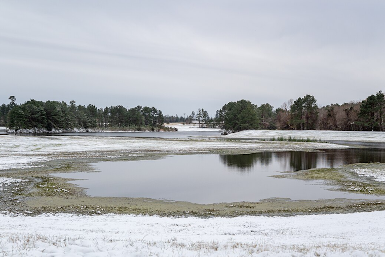 Dallas County Judge Jets To Costa Rica As Winter Storm Bears Down