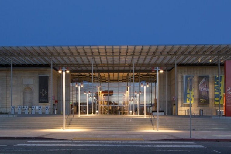 Bay Area Biodiversity Bonanza: Local Scientists Tag 72 New Species