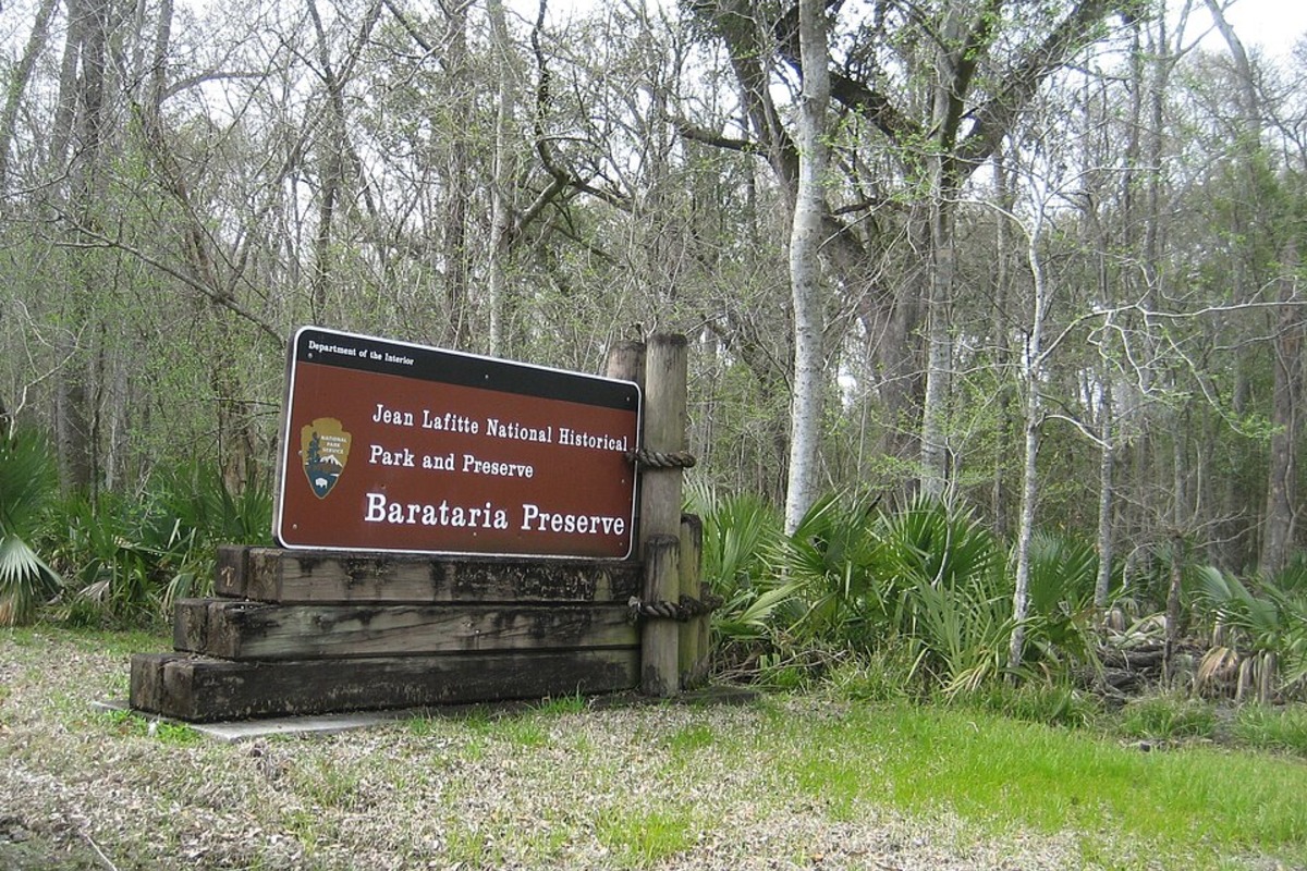 Bayou Boardwalk Shutdown as Jean Lafitte Trails Close for Two-Year