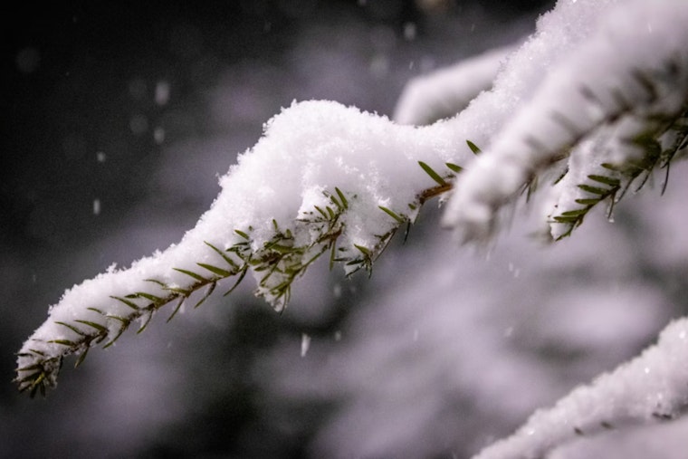 Boston Braces for Wintry Mix with Snow and Rain in the Forecast