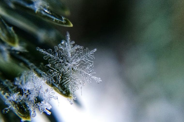 Boston Gears Up for Nor'easter: Snow, Wind, and Coastal Flooding