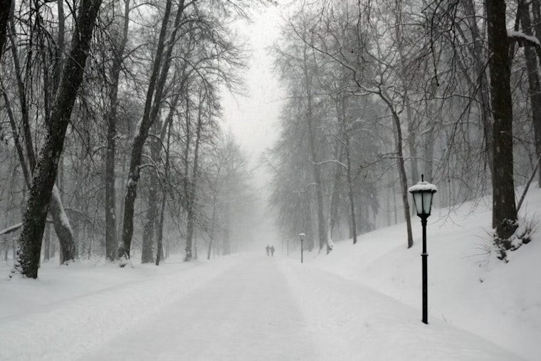 Boston on High Alert for Major Snowstorm, New England to Face