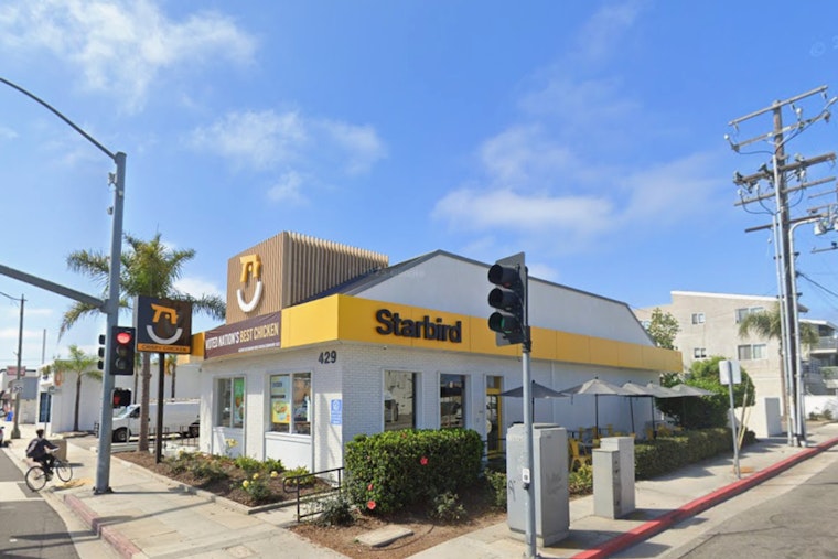 California Chicken Darling Starbird Locks In First Seattle Nest