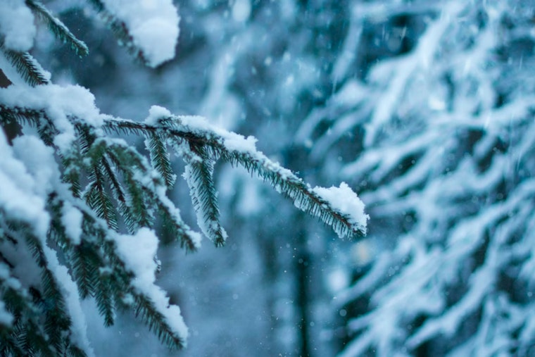 Charlotte Braces for Major Winter Storm as NWS Warns of Ice