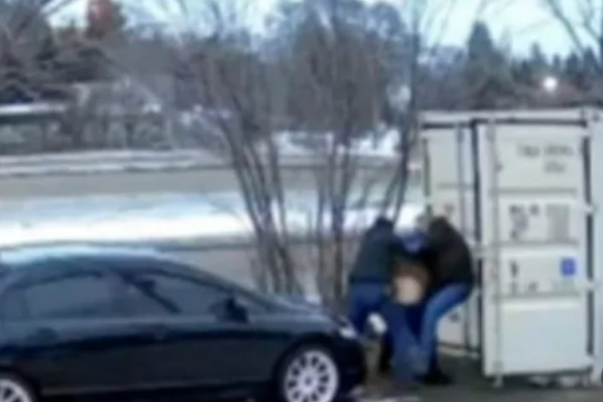 Circle Pines ICE Arrest Video Shows Worker Crying For Help
