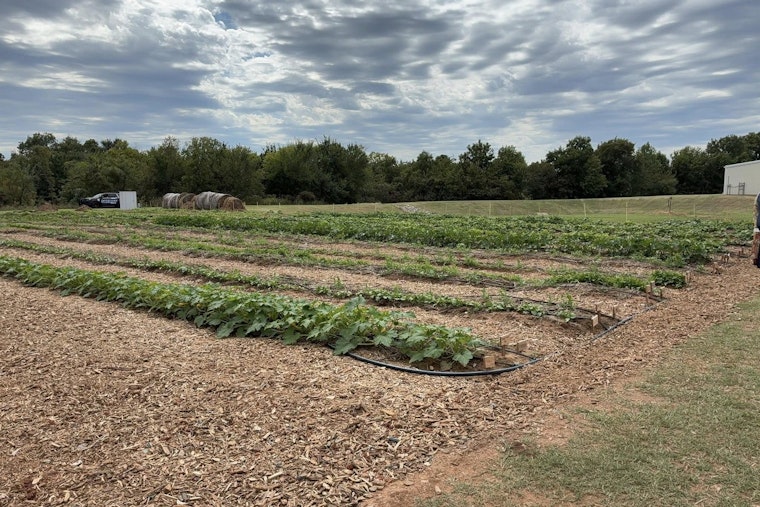 Cleveland County Jail's Garden Program Flourishes, Producing Over