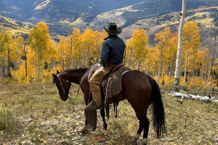 Colorado Parks and Wildlife Seeks Range Riders for Expanded Wolf