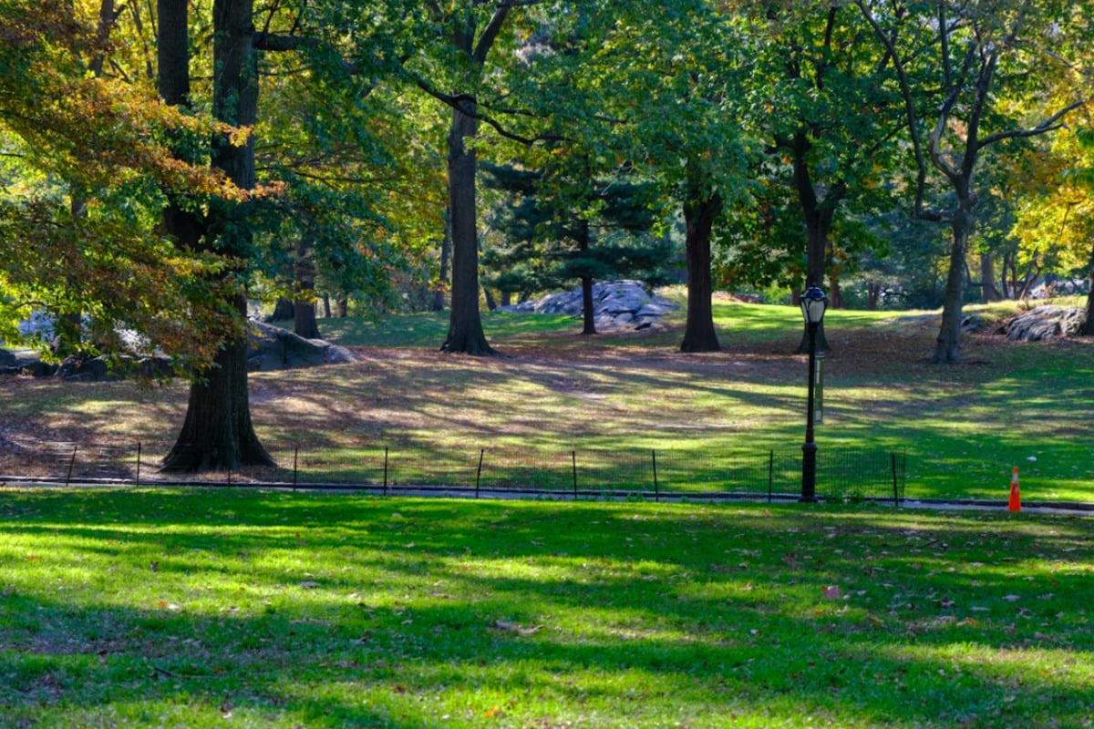Conroe Eyes Turning Failed Tech Park Into Discovery Green