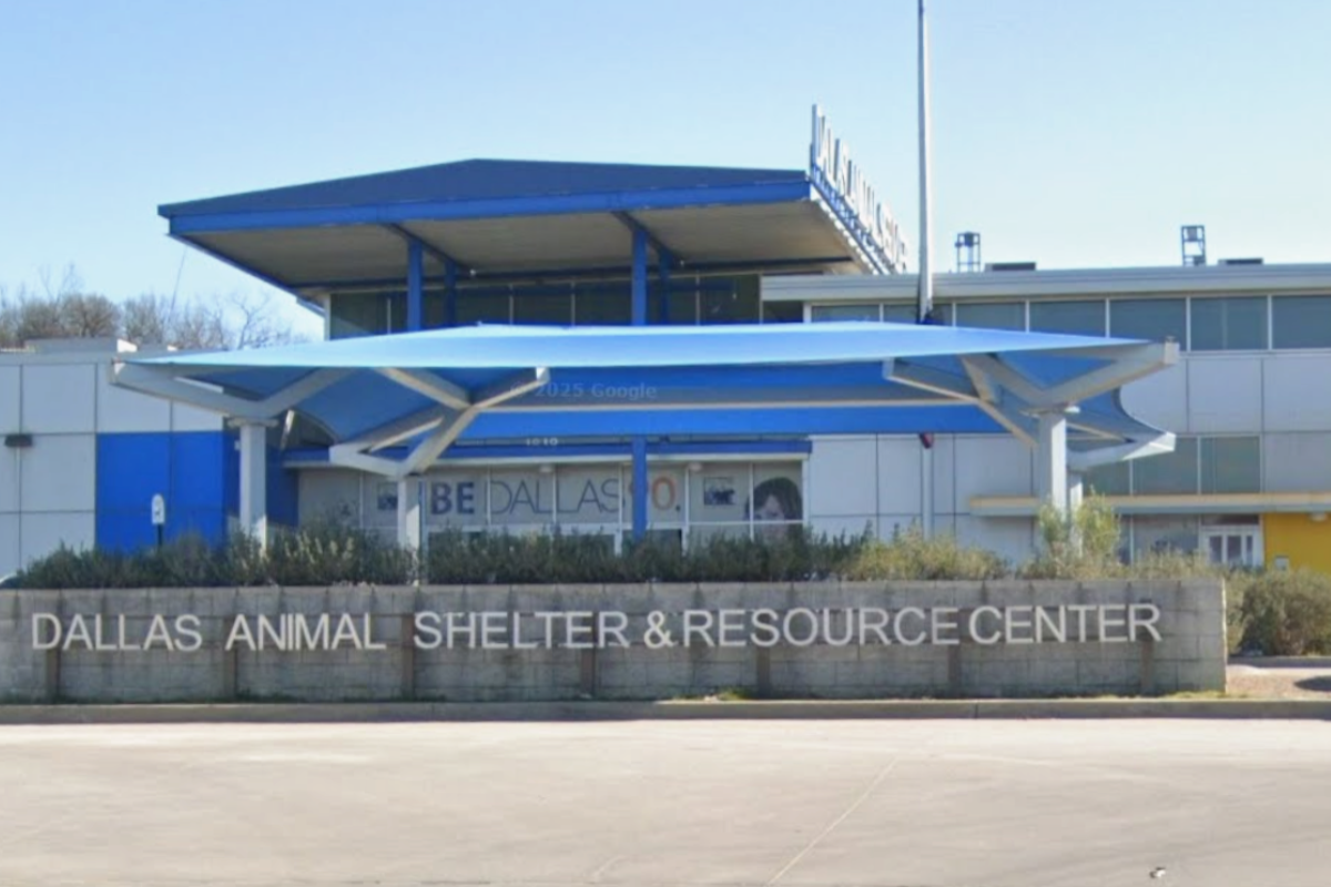 Dallas Animal Services Welcomes New Team Member and Celebrates