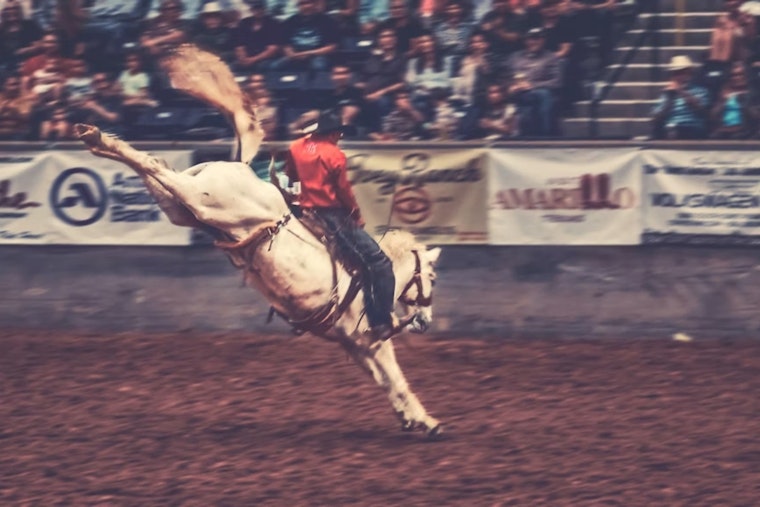 Bill Pickett Rodeo Out Of 2026 National Western Stock Show