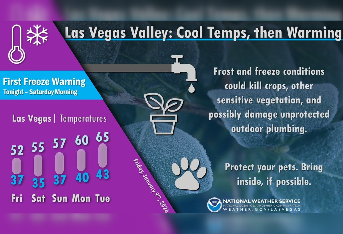 Desert Shiver, Las Vegas Valley Braces For First Freeze Of The Season