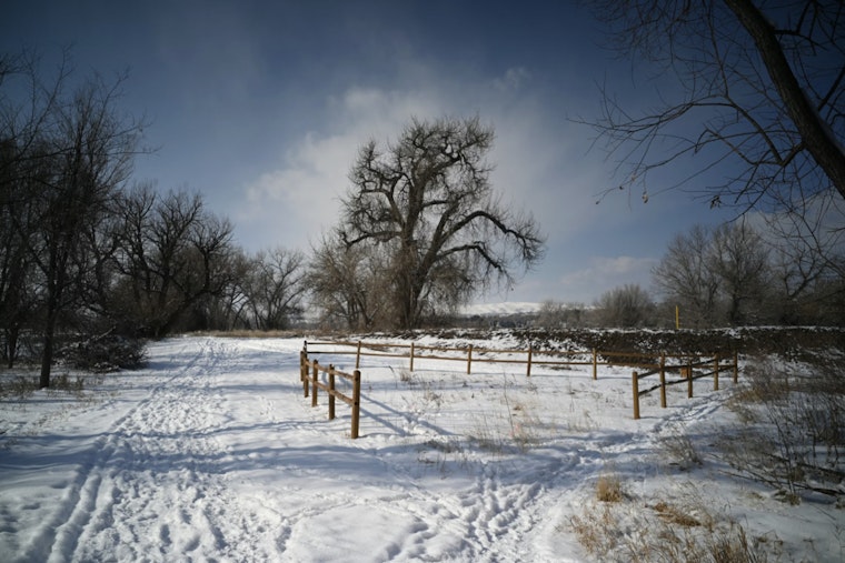 Detroit Braces for Snow, Rain, and Warmer Temps in a Week of Variable