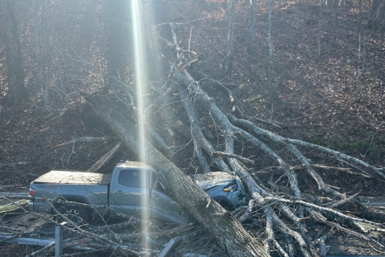Driver Unharmed After Tree Falls on Truck in West Knox County, Rural