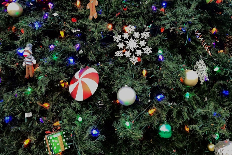 Englewood Offers Eco-Friendly Christmas Tree Recycling Through January