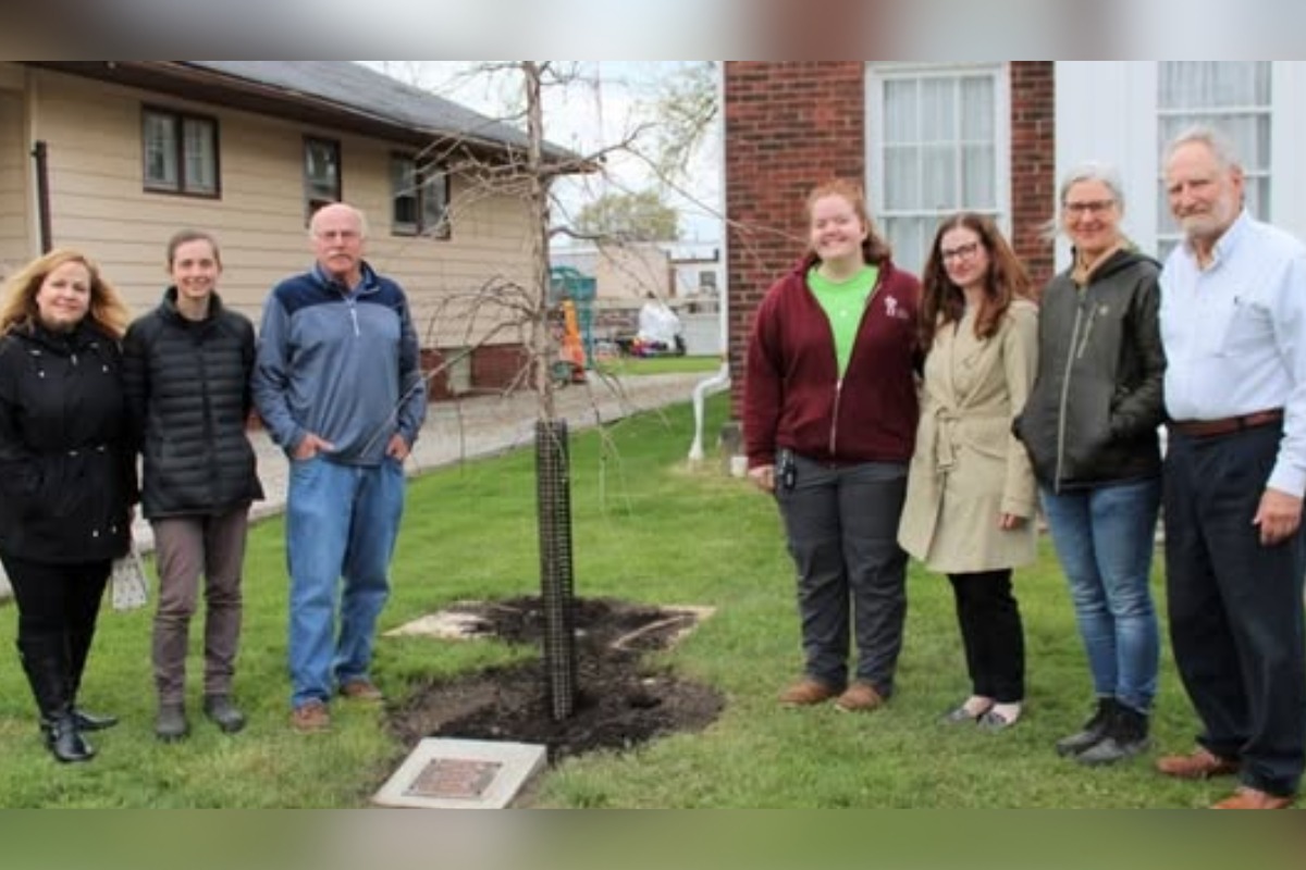 Euclid Seeks Passionate Volunteers for Shade Tree Commission to Boost