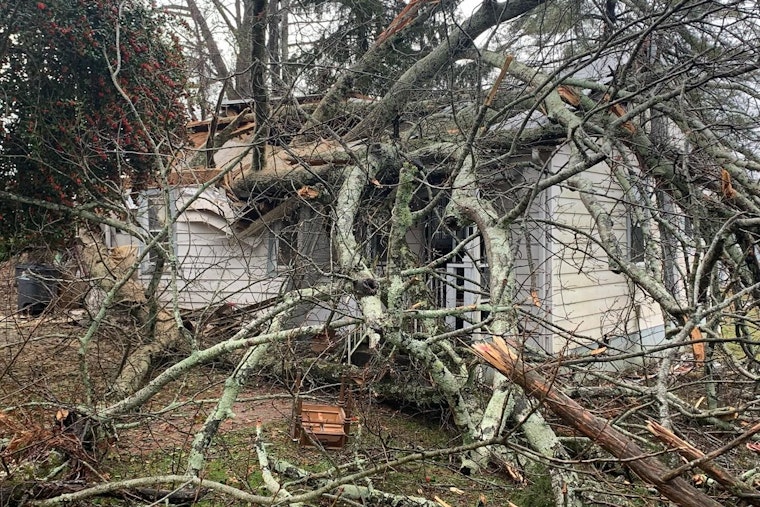 Family and Pets Safe after Large Tree Collapses on Home in Knoxville