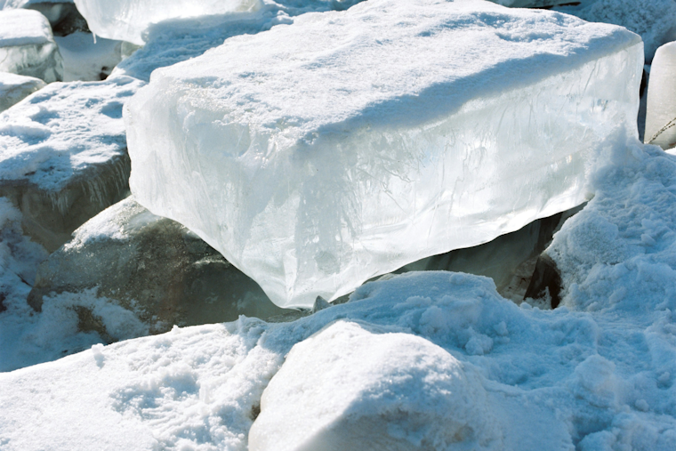 Fort Worth Artist Transforms Snow Day into Texas Rodeo Art with