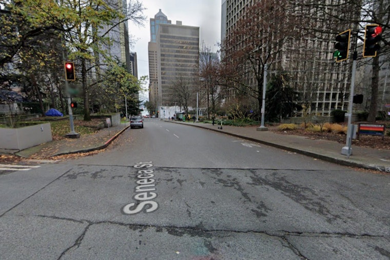 Freeway Park Frenzy As Seattle Cop Shoots Dog After Downtown Mauling